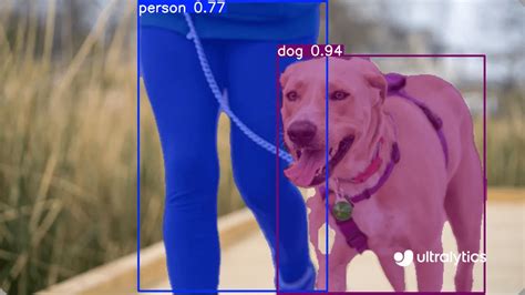 Yolo11 Instance Segmentation How To Use Ultralytics