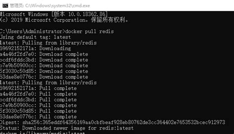 85 windows下安装docker及拉取redis并启用 《java笔记》 极客文档