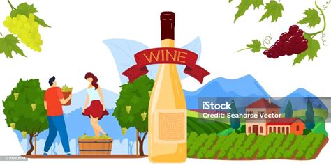 와인 포도 생산 벡터 일러스트 전통적인 와인 제조 과정과 함께 알코올 와인 음료 개념을 생산 하는 만화 플랫 포도주 양조업자에