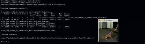 github deeplabcut deeplabcut live sdk for running deeplabcut on a