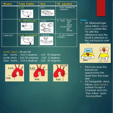 Three Minute Review Transthoracic And Transesophageal Echocardiography