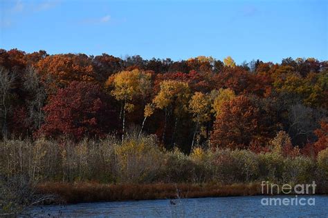 yellowstone lake fall colors 31a photograph by philip lehman fine art