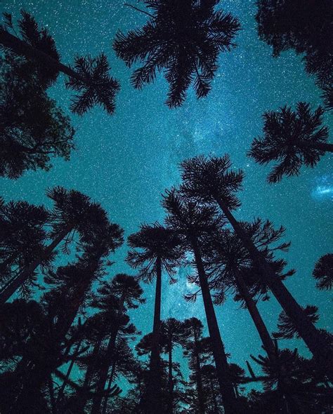 Emily Agnes Aka Emily Shaw Playboys Playmate Of The Month Realismovisceral On Tumblr