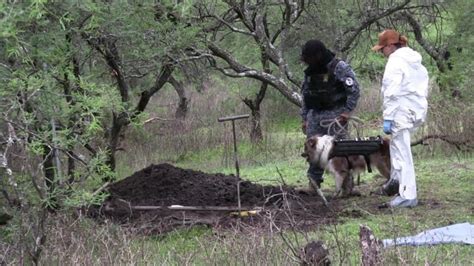 An Old Waterpark Could Be Mexicos Largest Narco Mass Grave