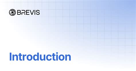 Introduction Brevis Zkcoprocessor
