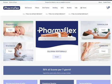 Bug Smashed On Your Html Js Css Php Laravel Codeigniter Coding Upwork