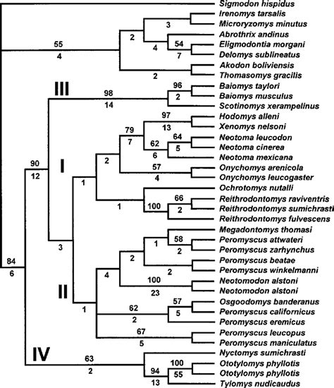 Strict Consensus Tree Of The 2 Most Parsimonious Trees Generated From Download Scientific
