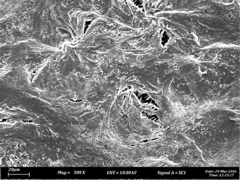 Sem Micrograph Of Peo Based Solid Polymer Electrolyte Download Scientific Diagram