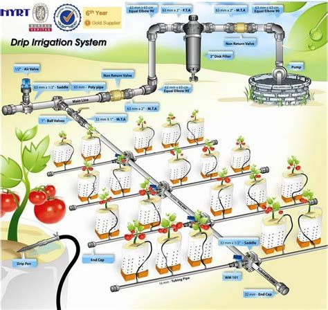 Design 1 Ha Drip Irrigation Systems For Eco Friendly Farming