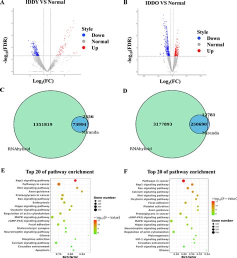 Differential Expression And Functional Analysis Of Tsrnas A The