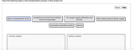 Solved Place The Following Steps In The Eutrophication