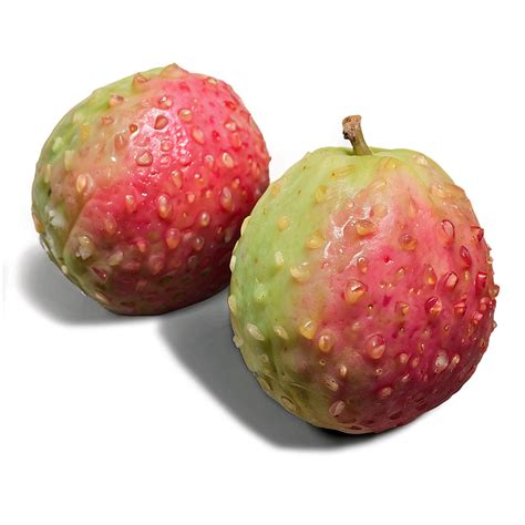 Download Crunchy Guava Png Nct20