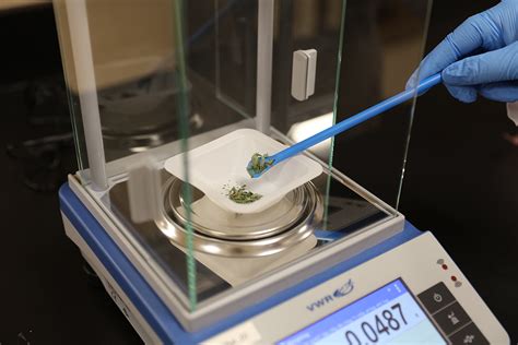 Cannabis Testing Laboratories Ctl Becomes First Iso Accredited Hemp