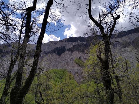 Plot Twists And Ankle Twists Two Days Ago I Twisted My Left Ankle