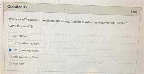 How Does ATP Synthase Directly Get The Energy It Chegg Com