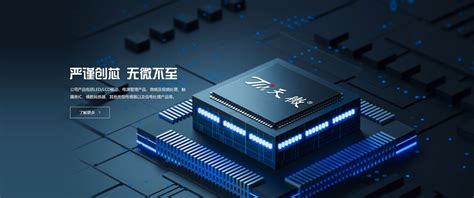 深圳市天微电子股份有限公司