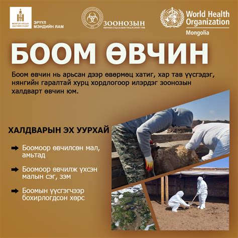 Боом өвчний тухай ЗӨСҮТ