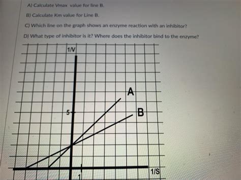 Solved A Calculate Vmax Value For Line B B Calculate Km Chegg Com