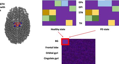 Discrete Brain Network Connectome In The Healthy State Left Axial