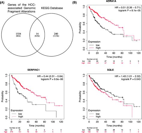 The Genomic Alteration Involved Gene Targets With Available Drugs Based Download Scientific