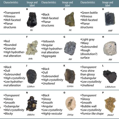 Examples Of Particle Images With Their Main Characteristics Their