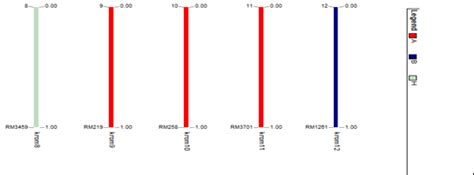 Positions Of Each Polymorphic Marker On 12 Chromosomes In The Download Scientific Diagram