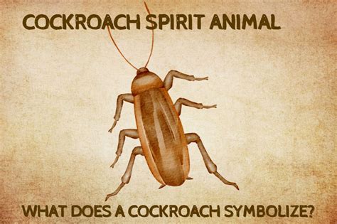 10 Spiritual Meanings Of Diamond