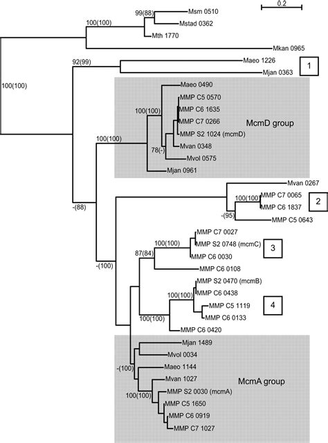 Fig 2 Microbiology Society