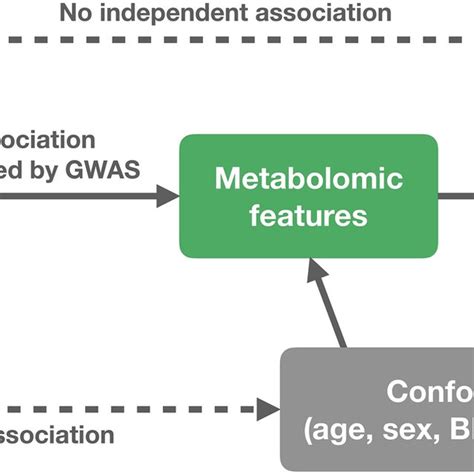 Flowchart Of Our Mendelian Randomization Model Mendelian Randomization