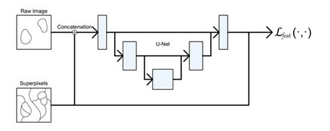 training setup of the feature extractor the input is a concatenation