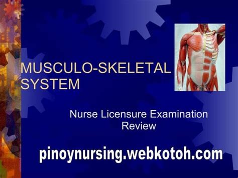 Musculoskeletal System Ppt