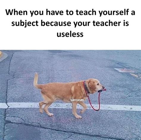 This Is What All Programming Subjects Feel Like In Schooluniversity