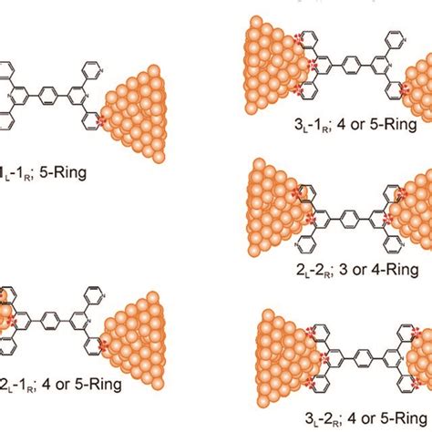 Examples Of Single And Multi Terminal Circuits For The Tp1 That Can Download Scientific Diagram