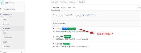 gitlab 设置分支保护功能及取消分支保护 DevOps SRE 博客园