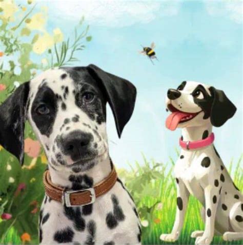 Milly Markwick Author