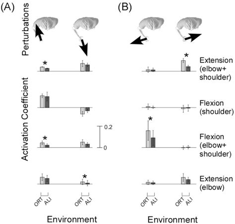 Activation Coefficients Of The Estimated Ics During Interactions With