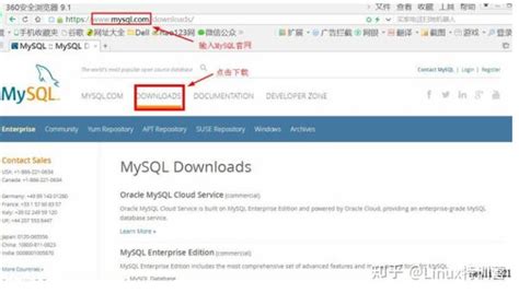 MySQL语句大全及使用总结一MySQL数据库的下载与安装 知乎
