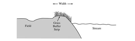Answered Grass Buffer Strips Are Grassy Areas Bartleby