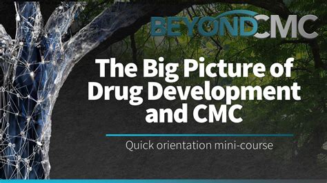 Introduction To Drug Development And Cmc