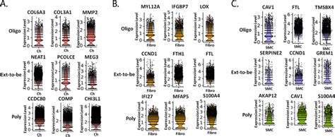 Top Upregulated Genes For Each Subpopulation Genes Expressed In