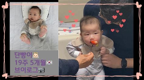 육아vlog 단빵로그11 5개월 아기 브이로그 계속 실패하는 수면교육 딸기 먹는 5개월 아기 갑작스레 자유부인 맥모닝과 독서하기 Youtube