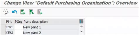 Sap Assignment Of Purchasing Organization To Company Code And Plant