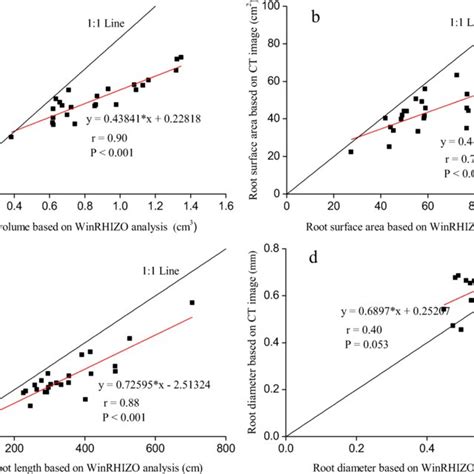 Responses Of 3d Root System Architecture Of Two Maize Cultivars