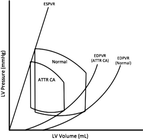 Pressurevolume Relationships In Transthyretin Cardiac Amyloidosis ATTR Download Scientific