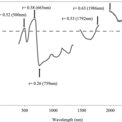 Correlation Coefficients R Between Spectral Reflectance Of Rice