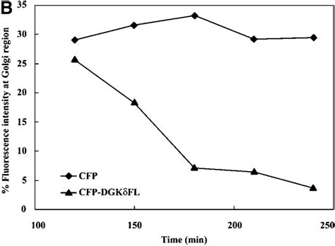 Redistribution Of Kdel Receptor Yfp Caused By Dgk Expression A The Download Scientific