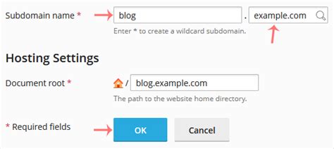 How To Add A Subdomain In Plesk Hostginger