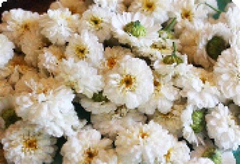 Mini Micro Mums White Edible Salads Cake Toppings Edible Flower