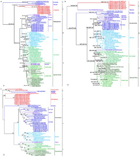 Phylogenetic Trees Based On The Entire Coding Regions Of Hantavirus