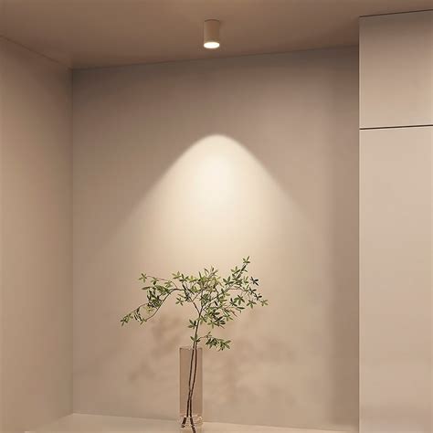 Plaster Ceiling Light Gu10